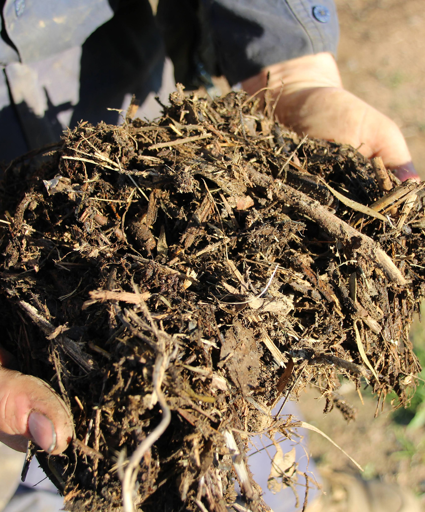 Home - Back 2 Earth Composting