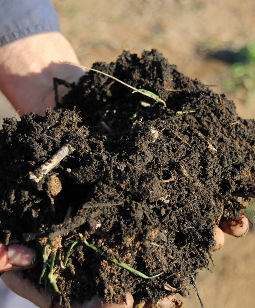 Home - Back 2 Earth Composting